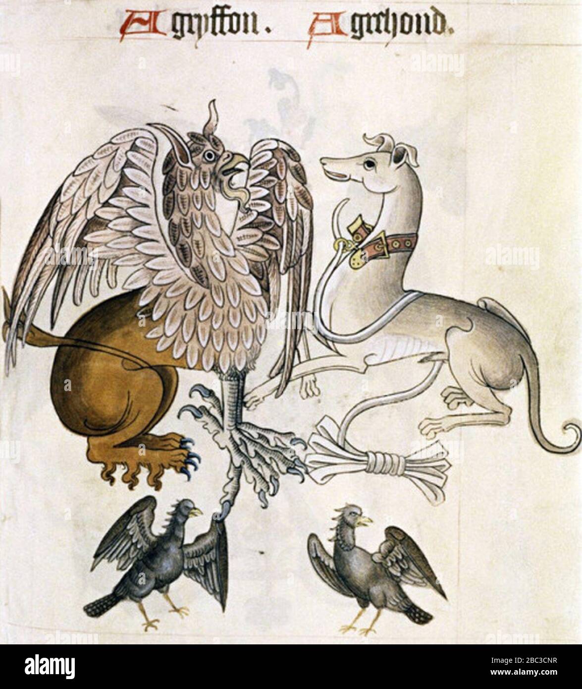 Gryffon & Grehond Tudor Pattern Book ca. 1520 (39416944515 Stock Photo ...