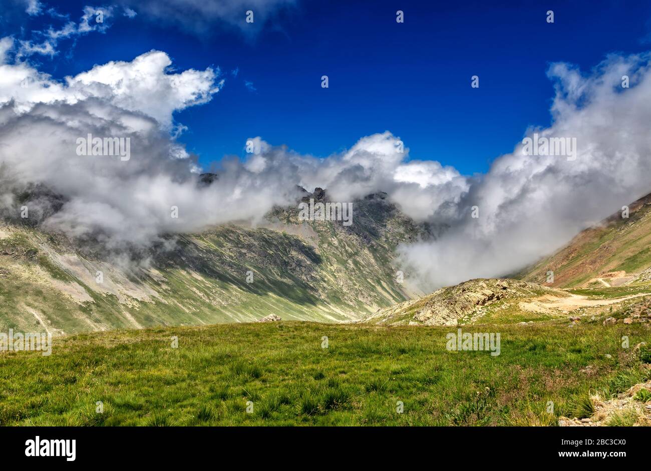 Anzer Plateau in İkizdere district of Rize, where world famous Anzer ...