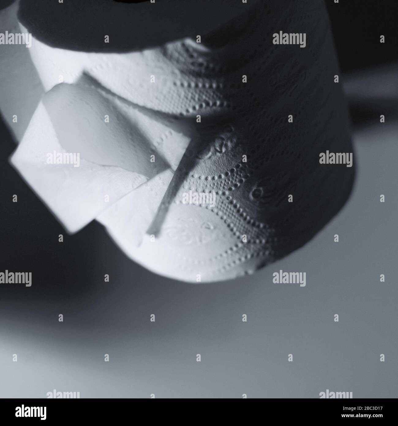 Dramatic Close up toilet paper supply Stock Photo - Alamy Dramatic Close up toilet paper supply Stock Photo - Alamy