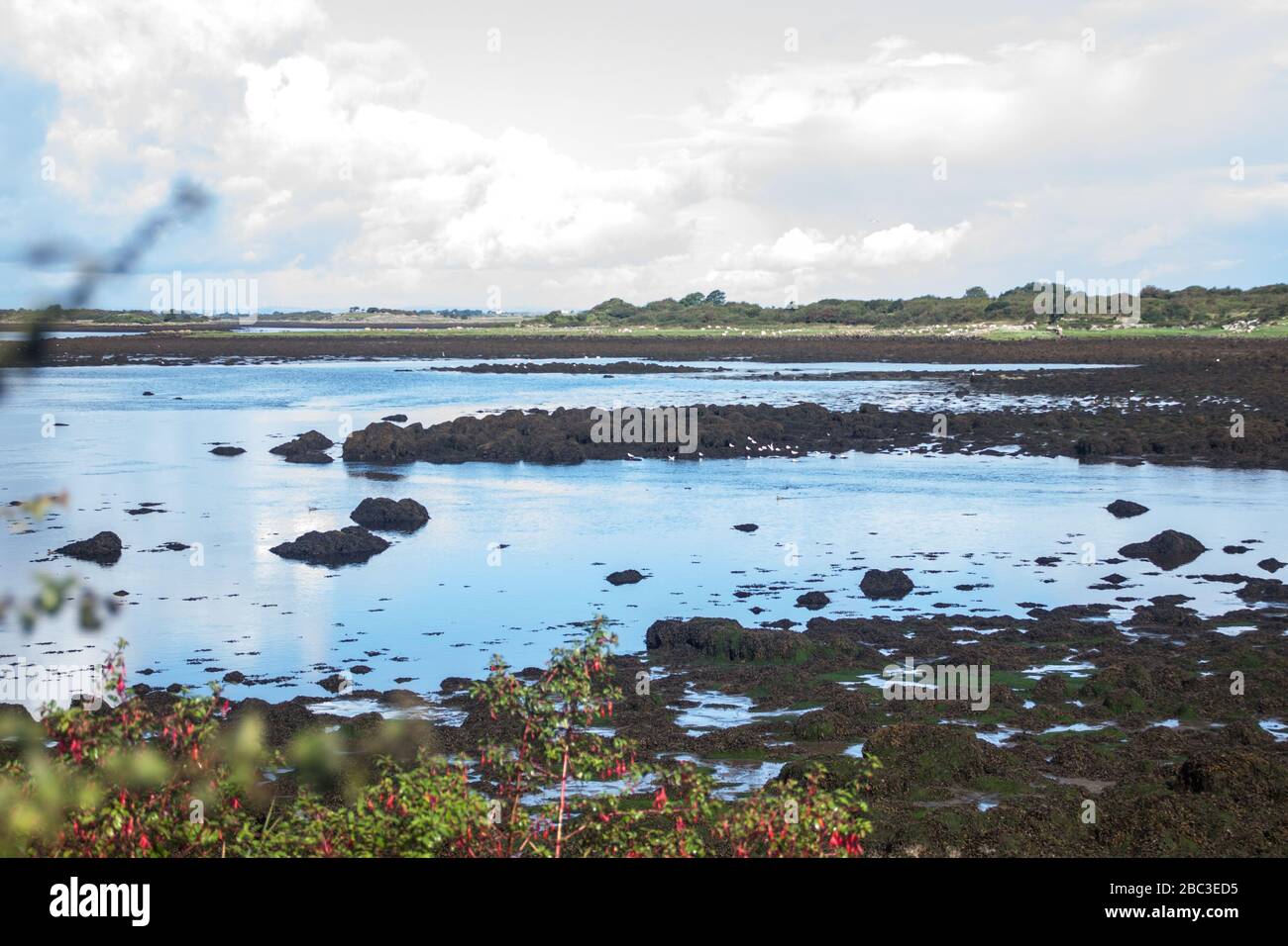 Kinvara Island, County Galway, Ireland marshland, water, sky reflection ...