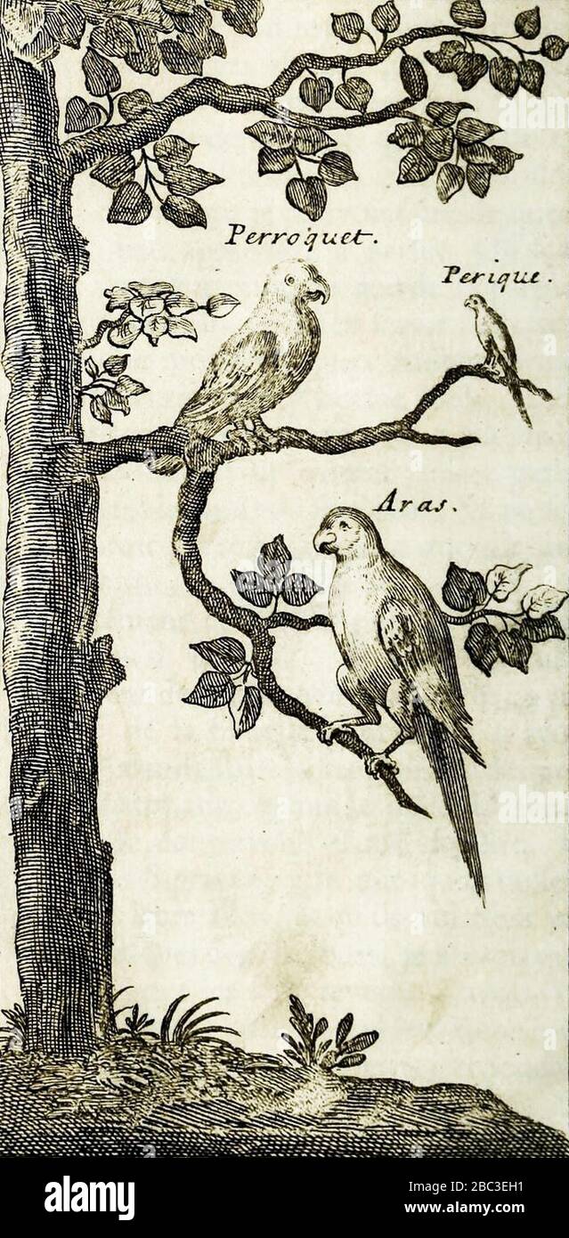 Labat hi-res stock photography and images - Alamy