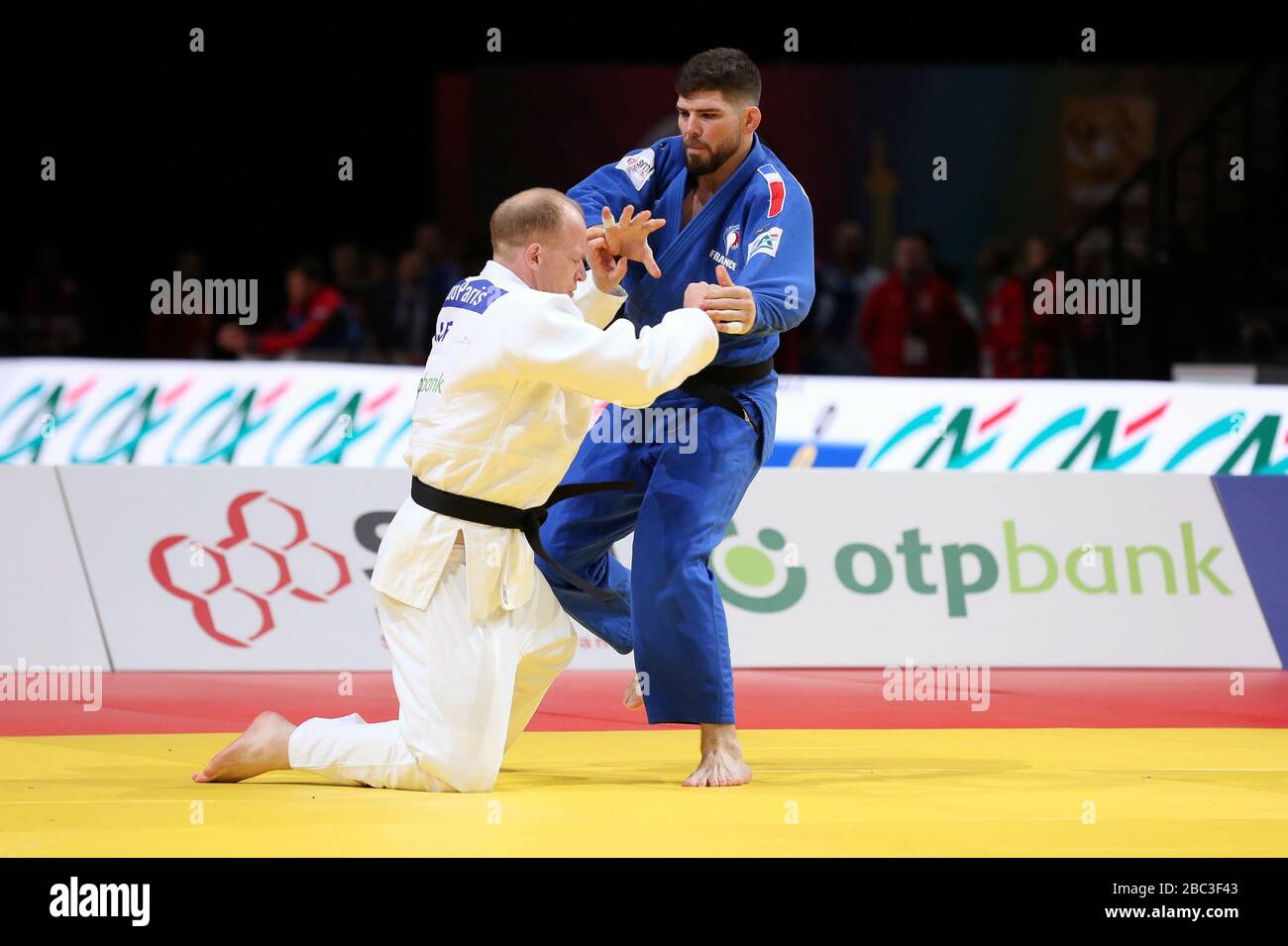 Jason koster new zealand hi-res stock photography and images - Alamy