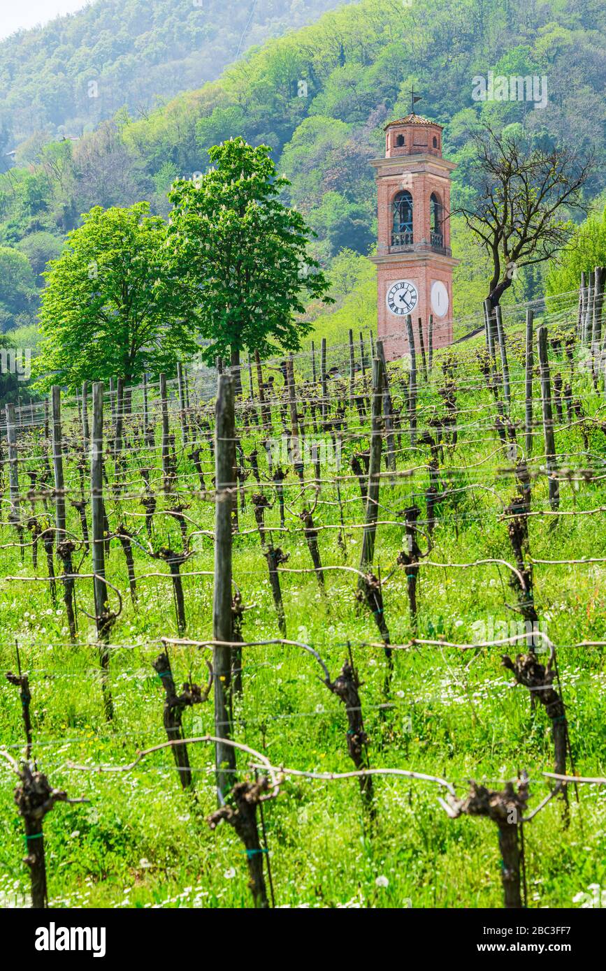 Luvigliano di torreglia hi-res stock photography and images - Alamy