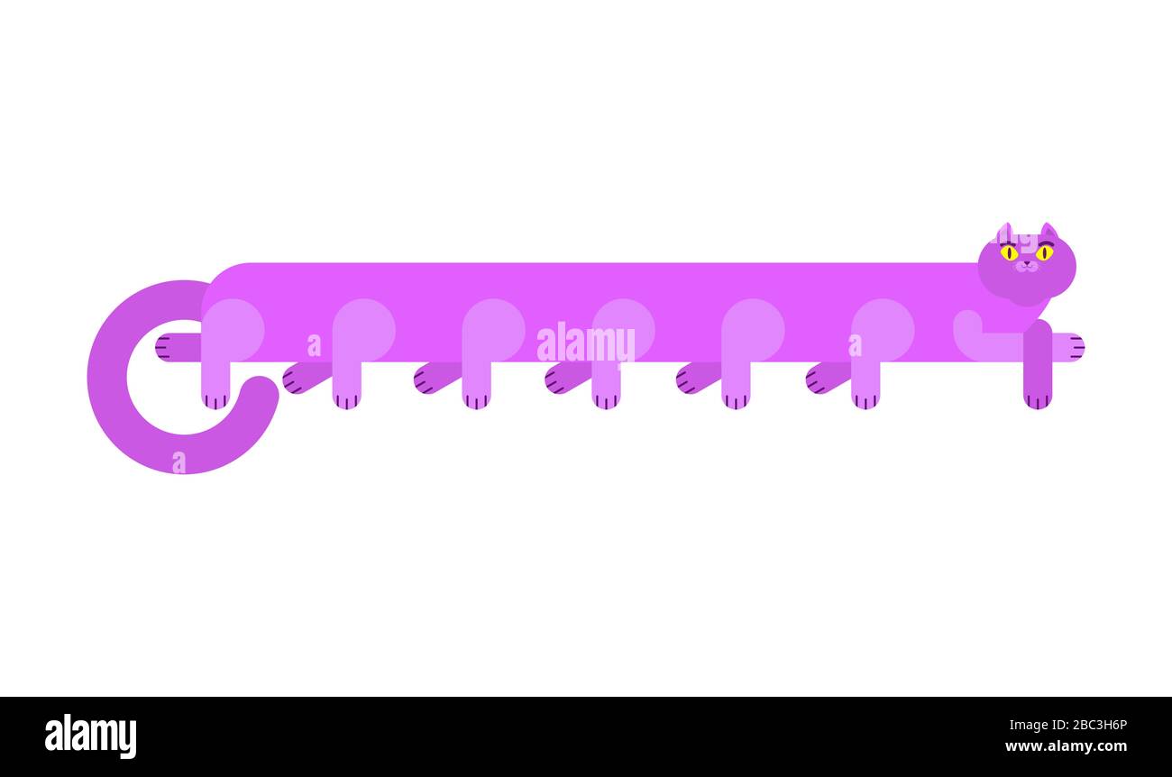 Long cat isolated. Cartoon pet. vector illustration Stock Vector Image ...