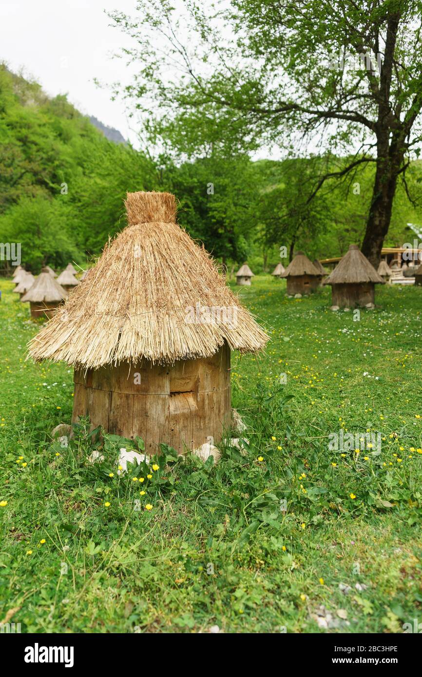 Wooden bee hive covered with straw stands in a flowering meadow. Wild ...