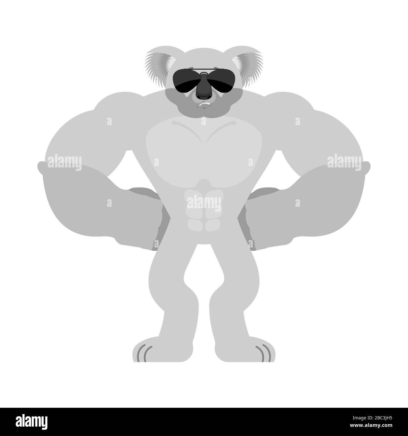 Koala Strong Cool serious. Beast strict. Vector illustration Stock ...