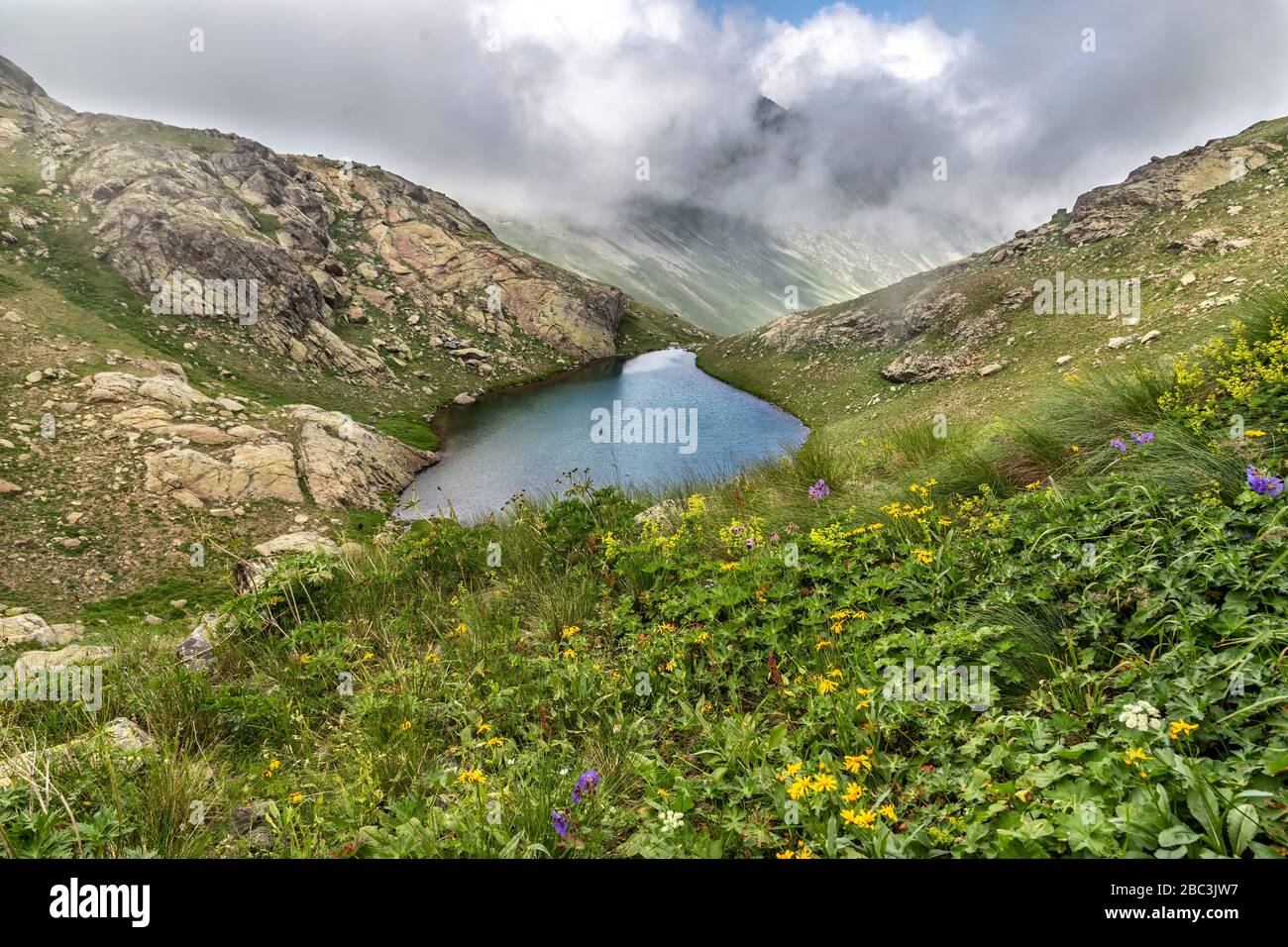 Anzer Plateau in İkizdere district of Rize, where world famous Anzer ...