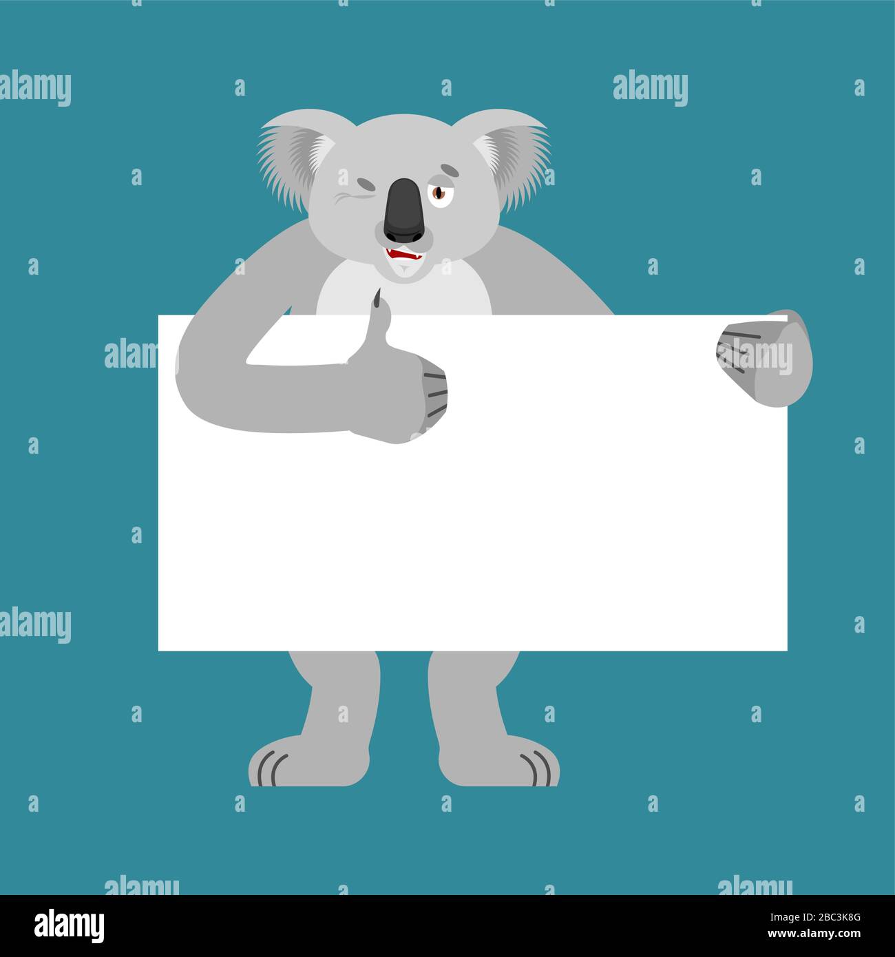 Koala holding banner blank. koala bear and white blank. Beast thumb up ...