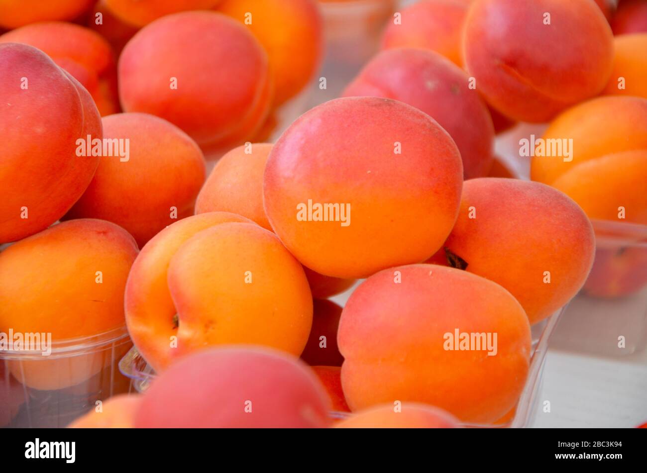 Ripe fresh apricot fruits hi-res stock photography and images - Alamy