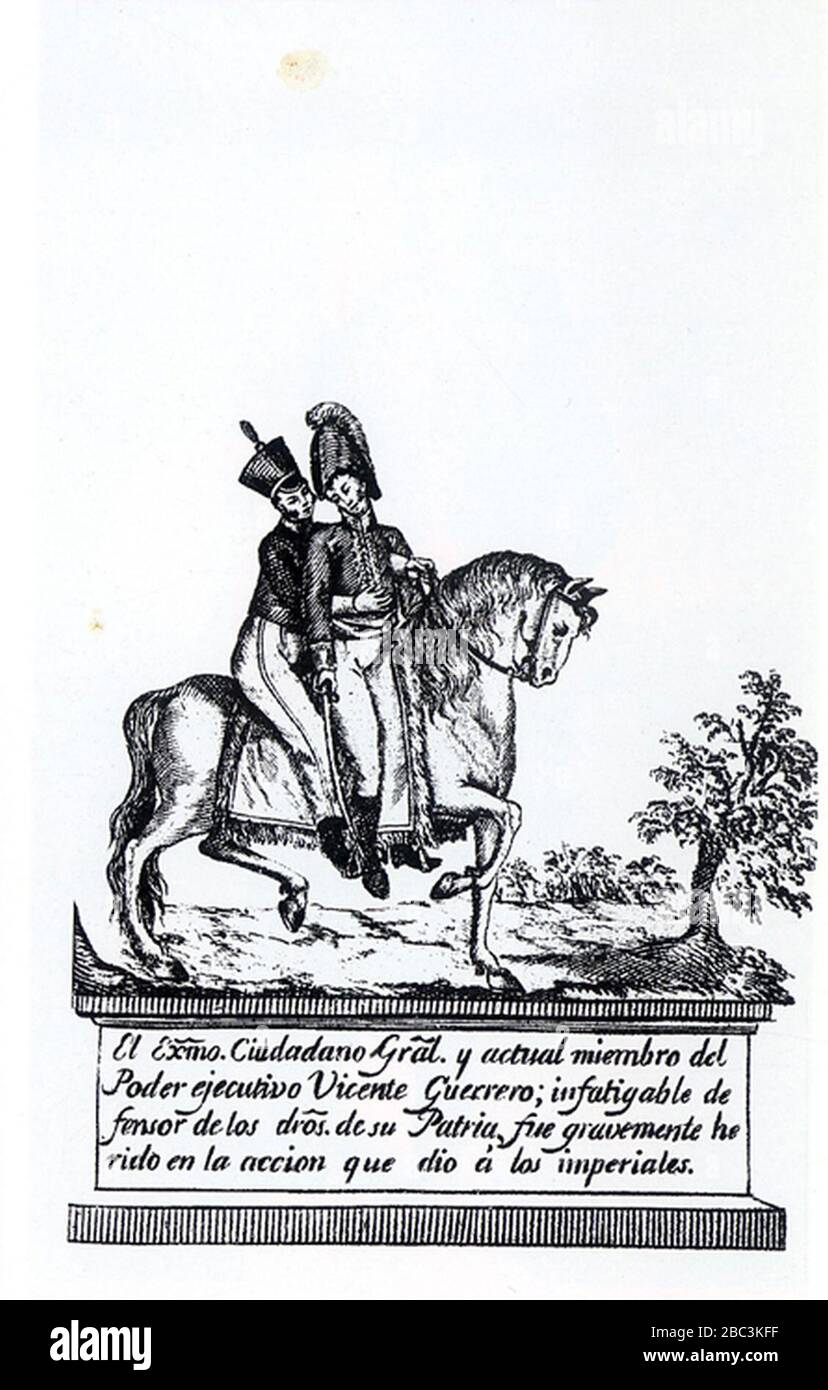 Lizardi hi-res stock photography and images - Alamy