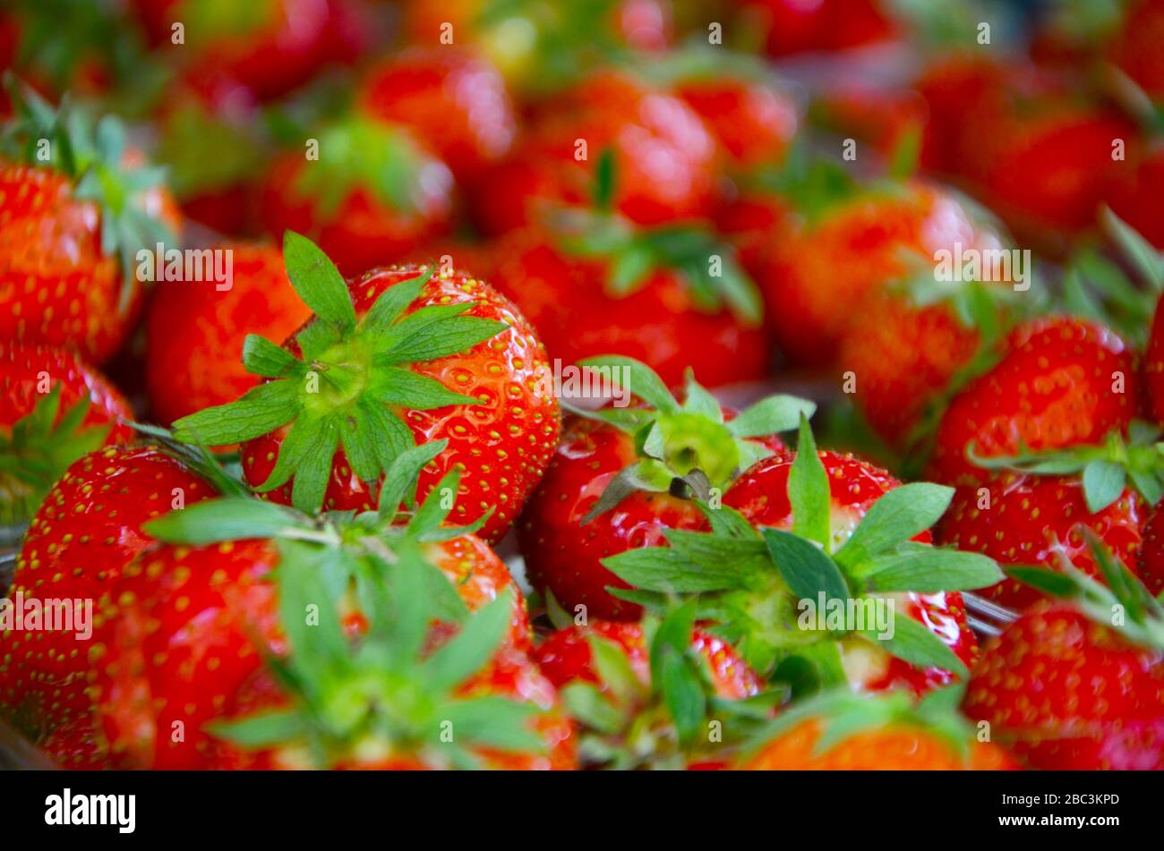 fresh strawberries close up view Stock Photo - Alamy