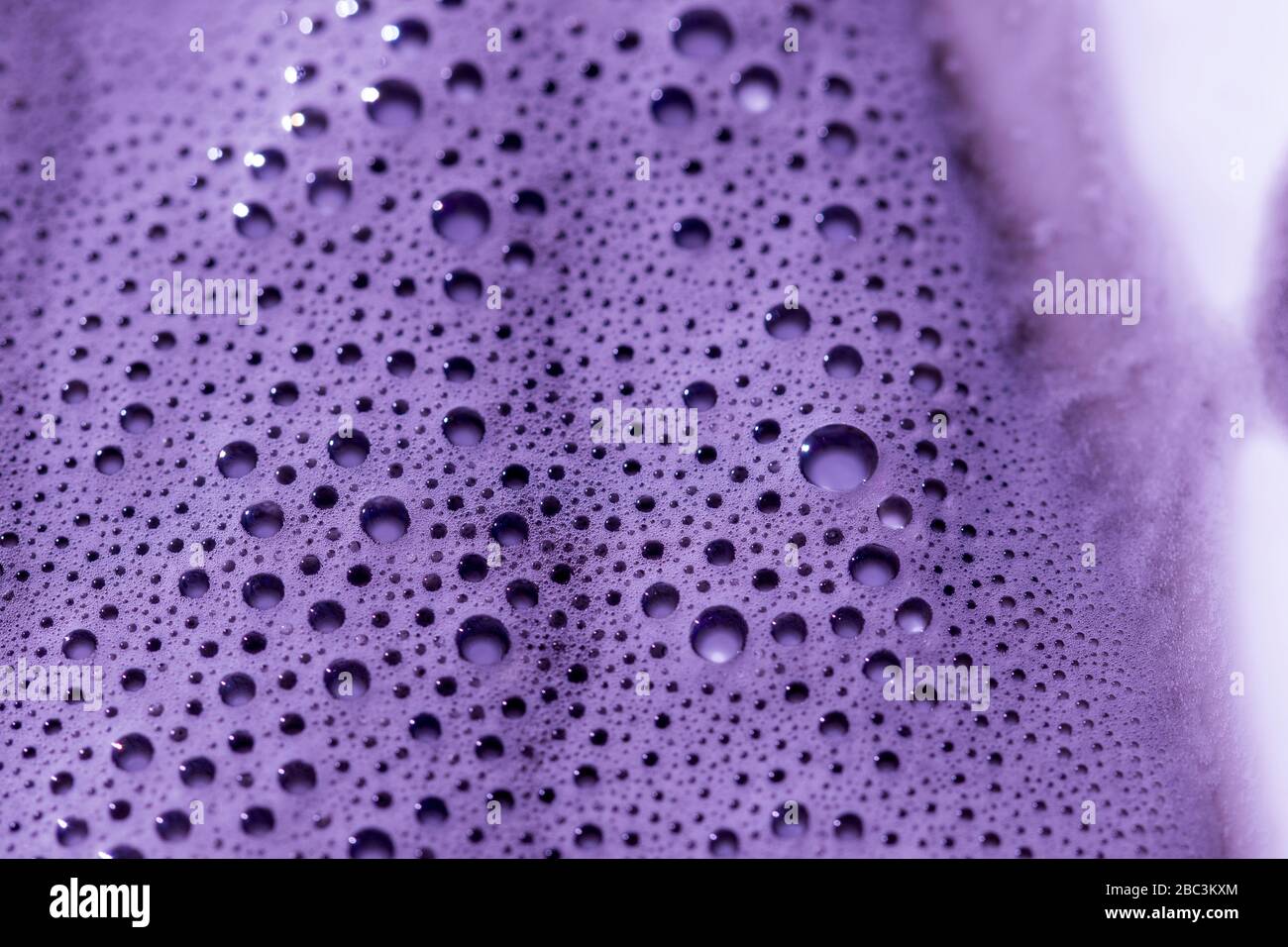 Foam bubbles close up fizzy foam texture background element. Sea foam ...