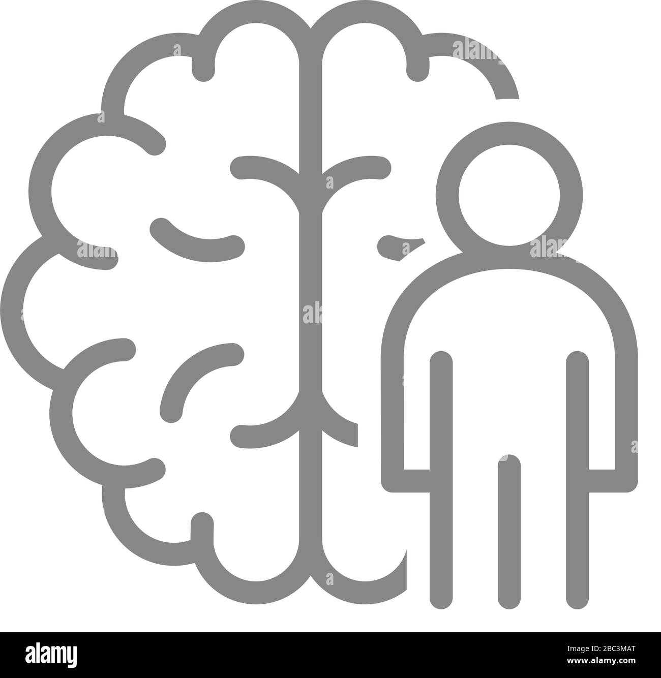 Central Nervous System Brain High Resolution Stock Photography and ...