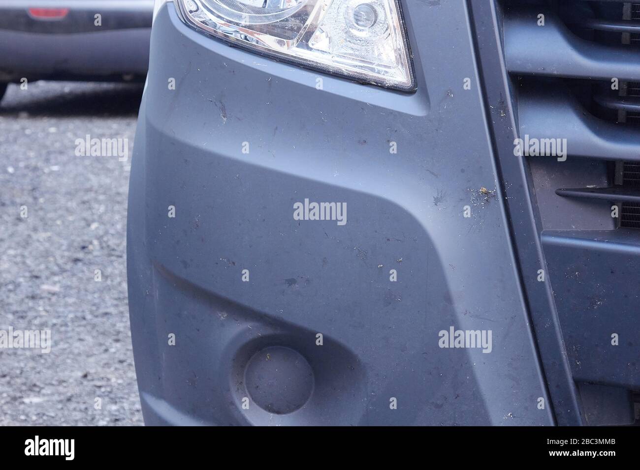 midges insects on the bumper and hood of the car Stock Photo - Alamy