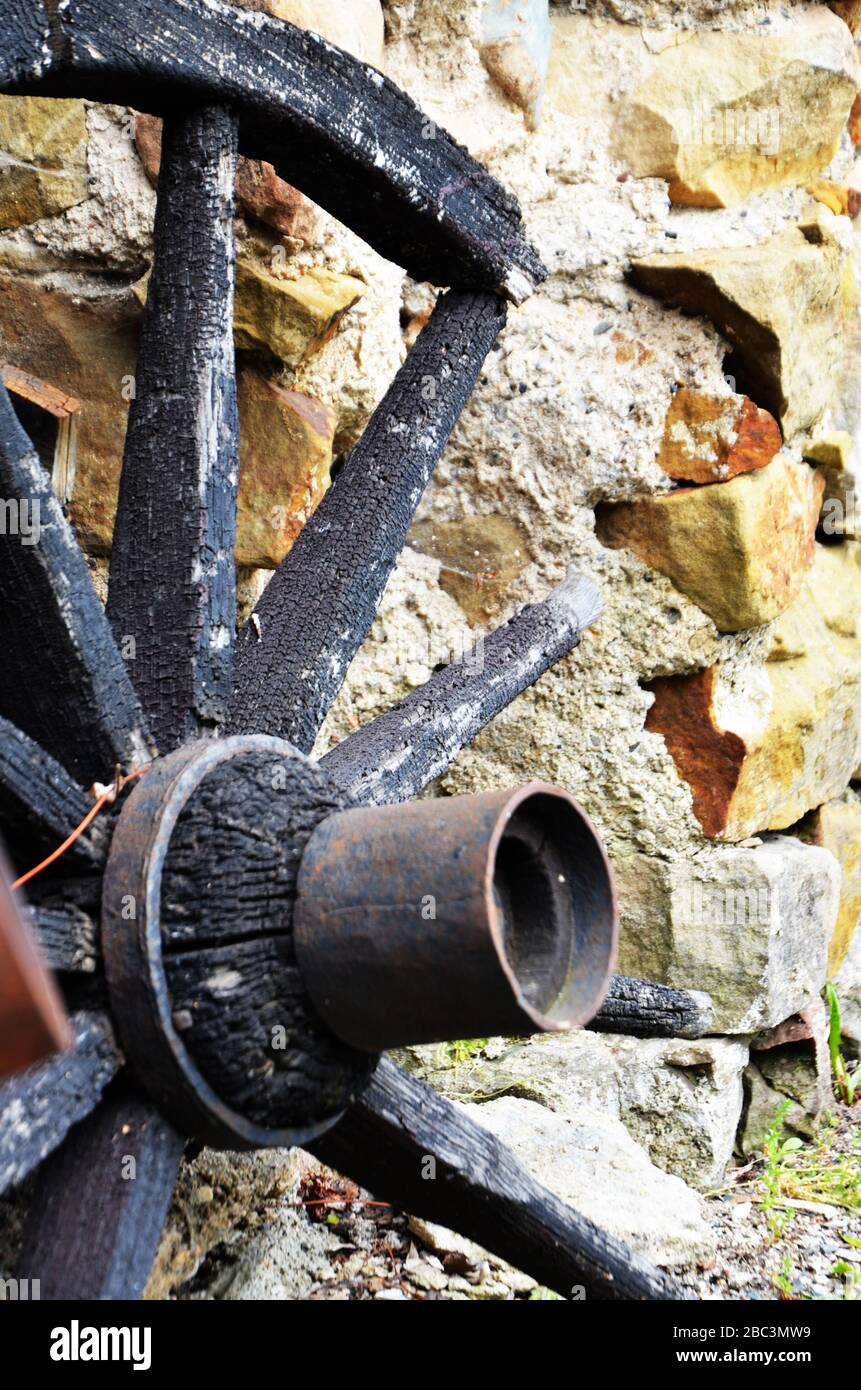 old wheal close up view Stock Photo - Alamy