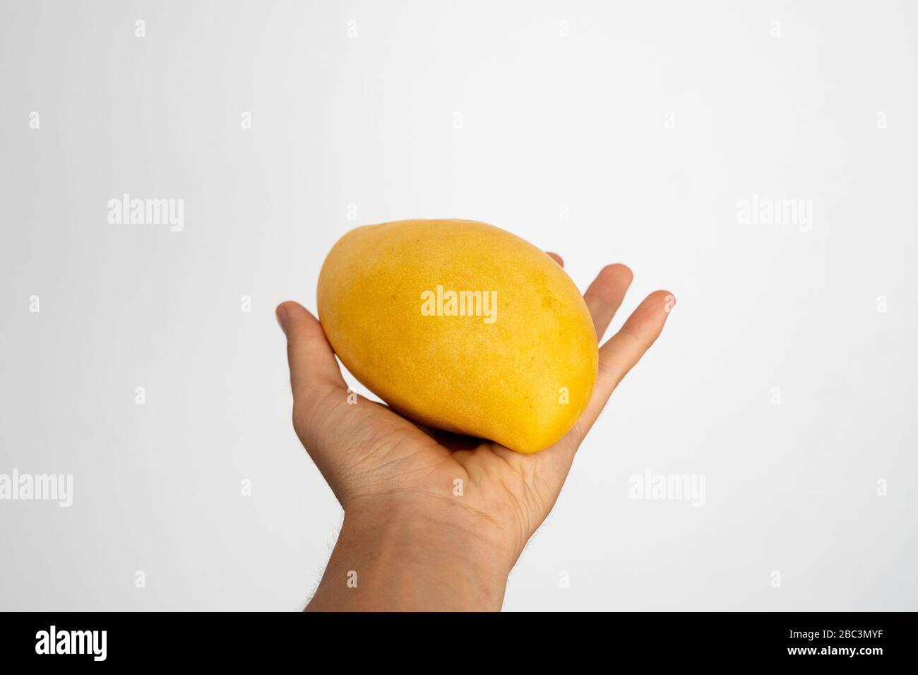 Female hand holding a ripe mango on a white background Stock Photo - Alamy