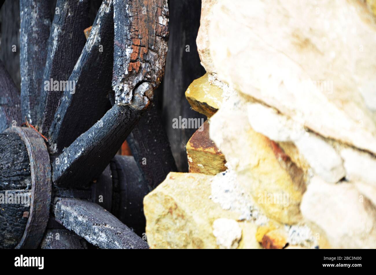 old wheal close up view Stock Photo - Alamy