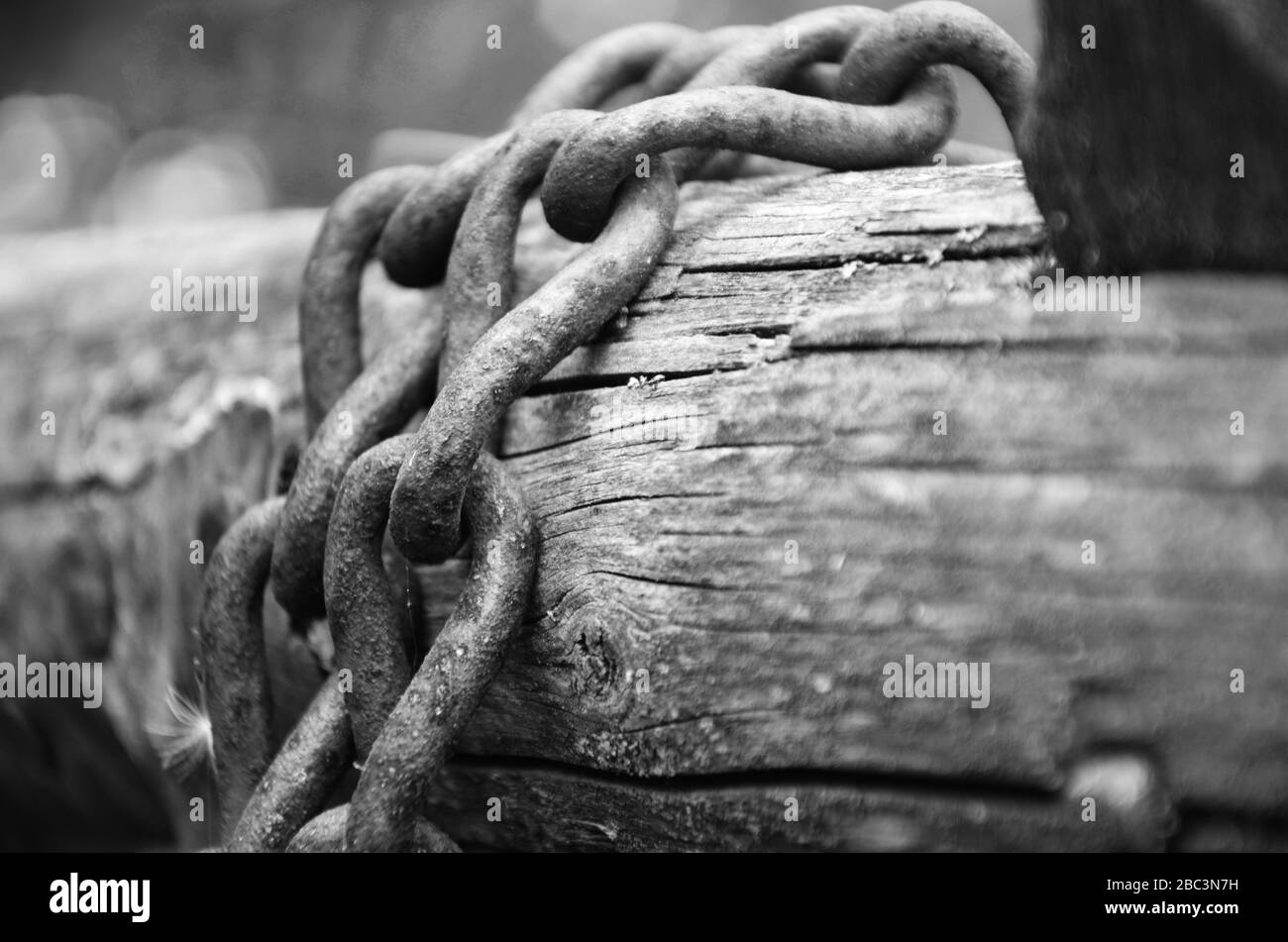 Chainsaw photos hi-res stock photography and images - Alamy