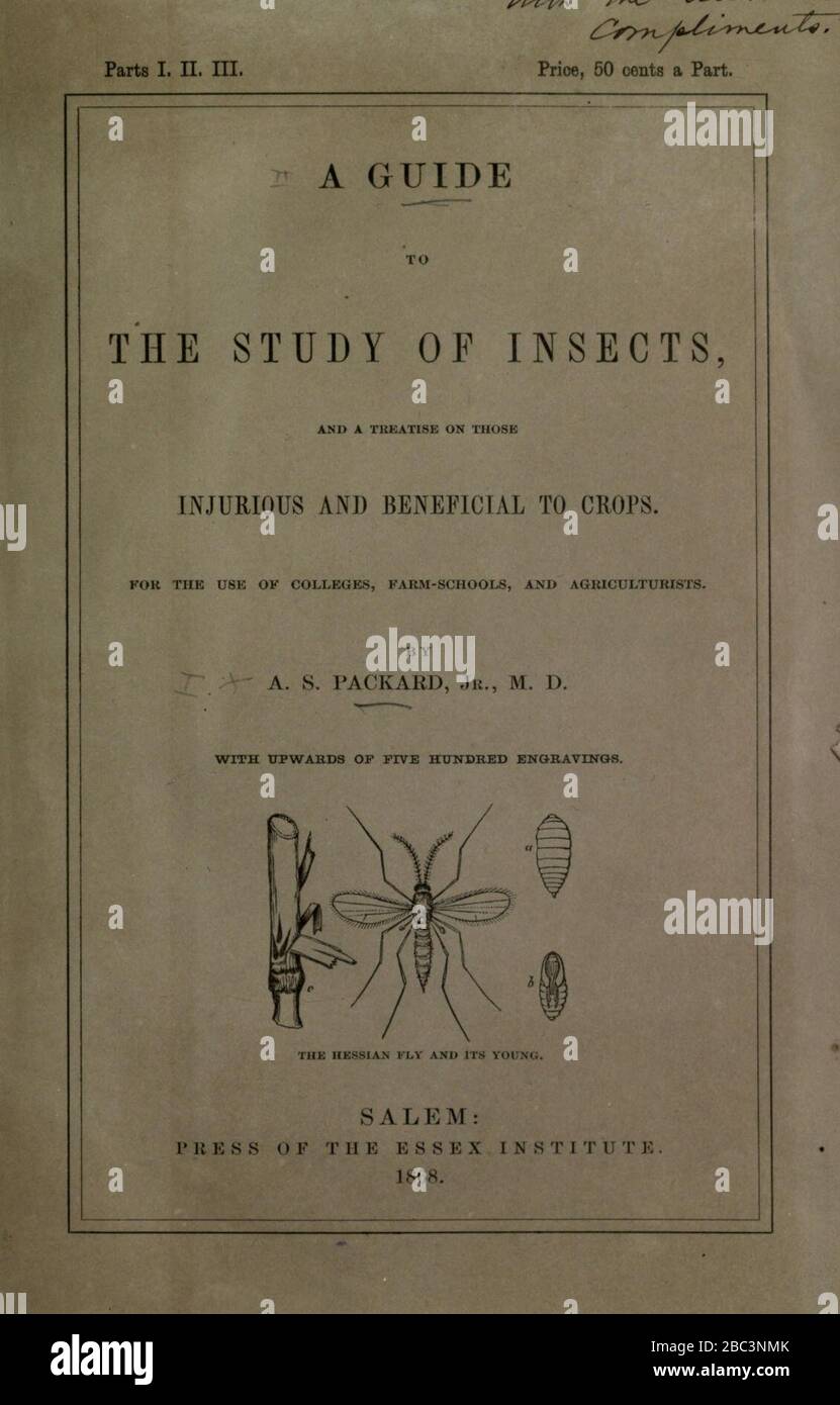 Guide to the study of insects Stock Photo - Alamy