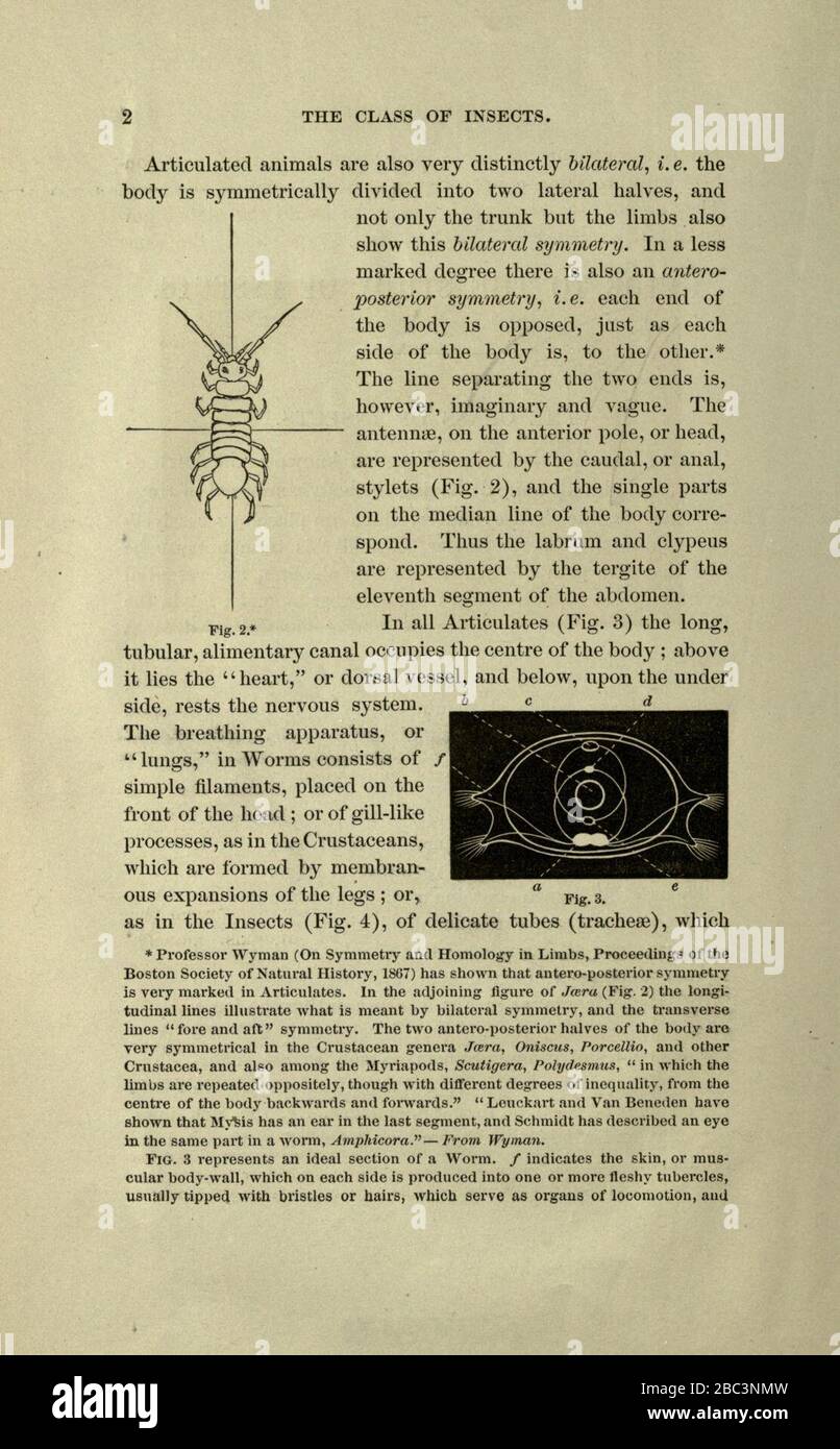 Guide to the study of insects Stock Photo - Alamy