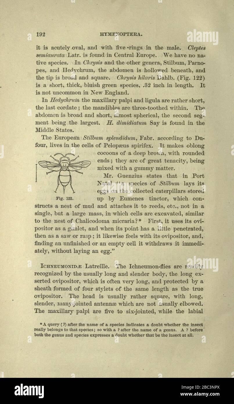 Guide to the study of insects Stock Photo - Alamy