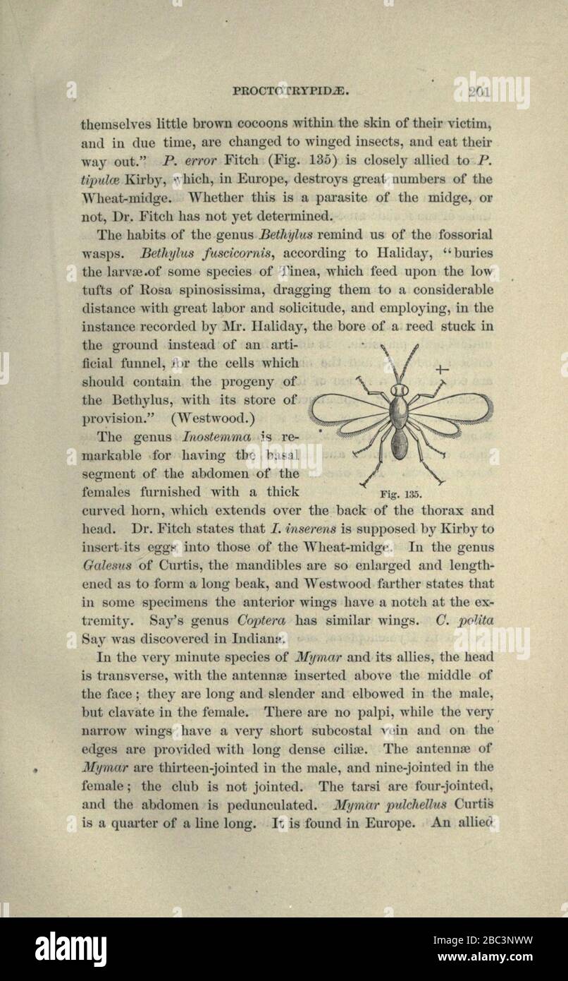 Guide to the study of insects Stock Photo - Alamy