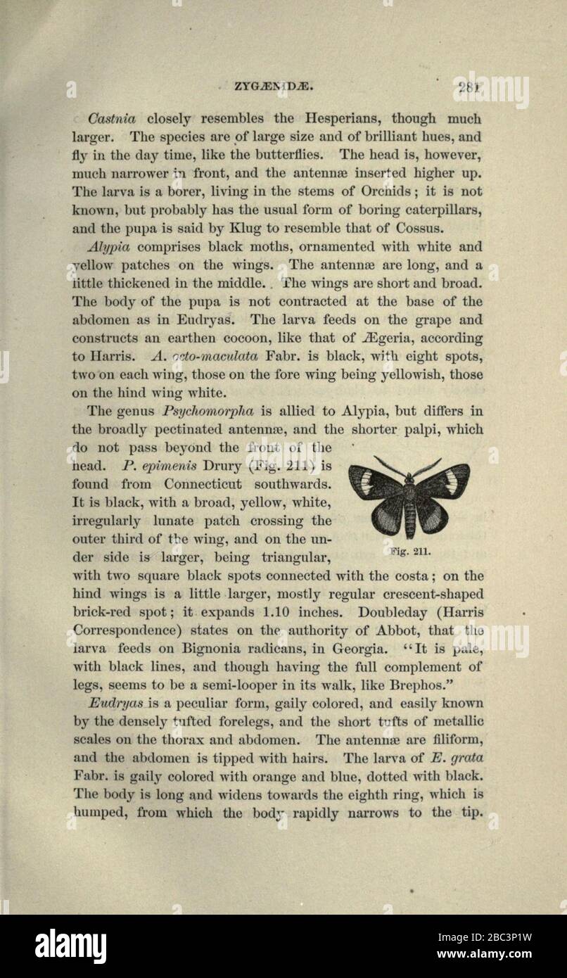 Guide to the study of insects Stock Photo - Alamy