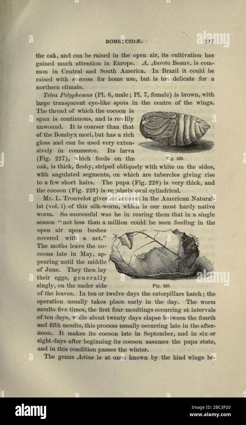 Guide to the study of insects Stock Photo - Alamy