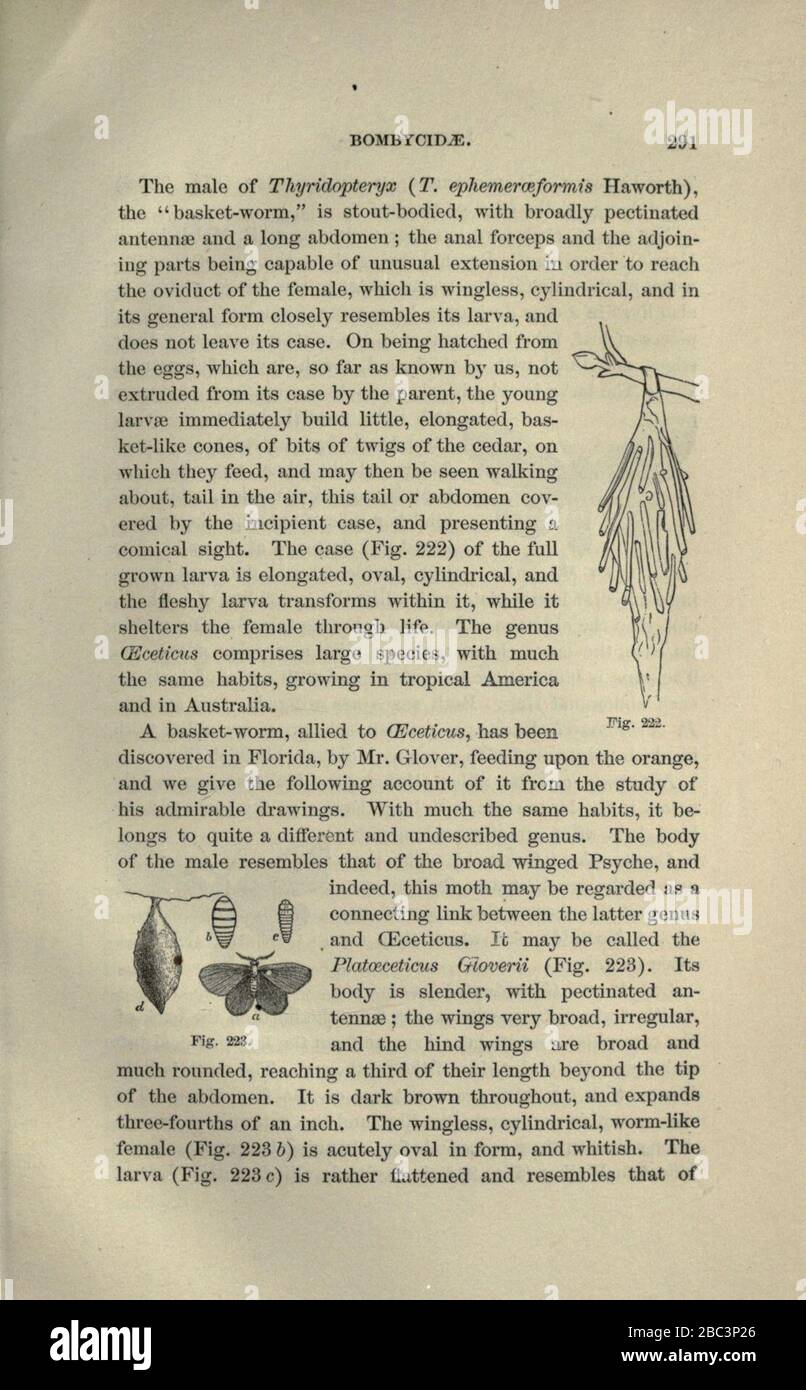 Guide to the study of insects Stock Photo - Alamy