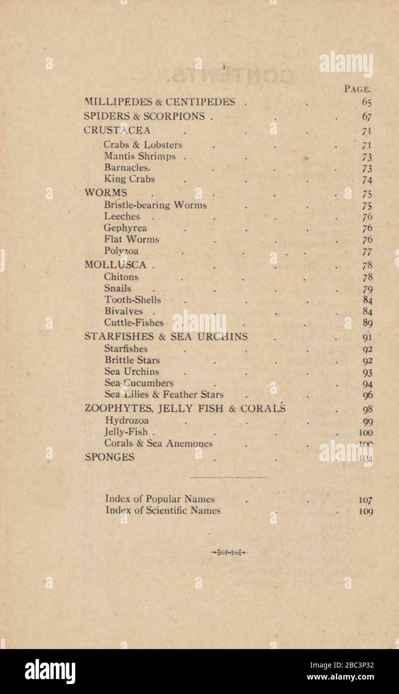 Guide to the zoological collections of the Raffles Museum, Singapore ...