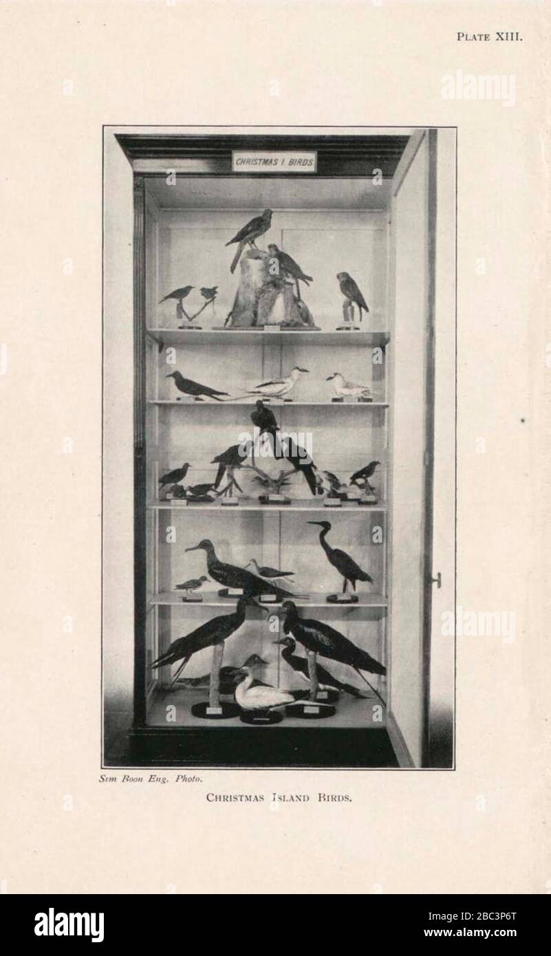 Guide to the zoological collections of the Raffles Museum, Singapore ...