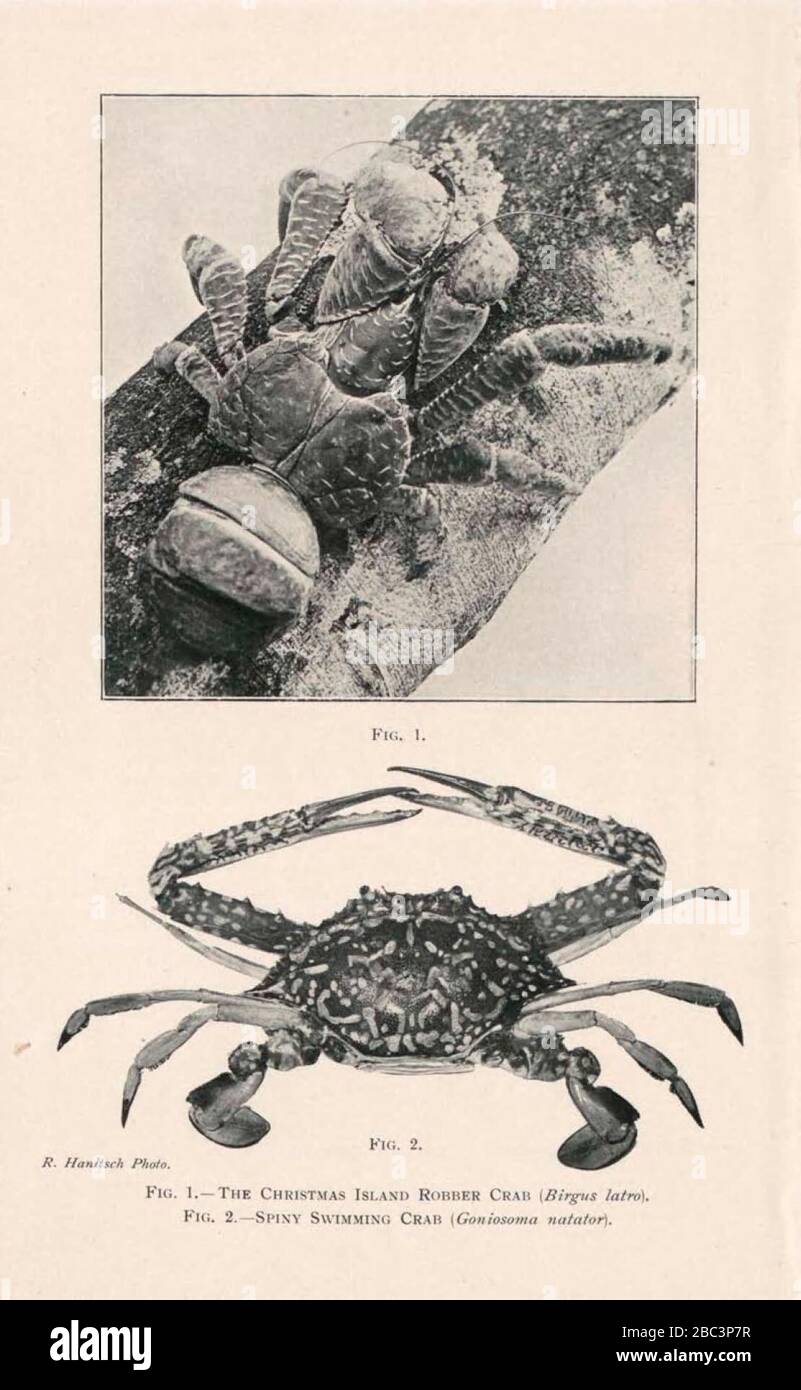 Guide to the zoological collections of the Raffles Museum, Singapore ...