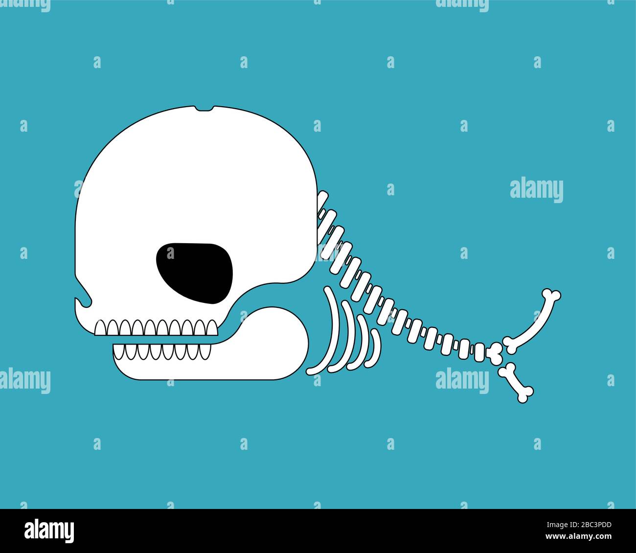 Whale skeleton illustration hi-res stock photography and images - Alamy