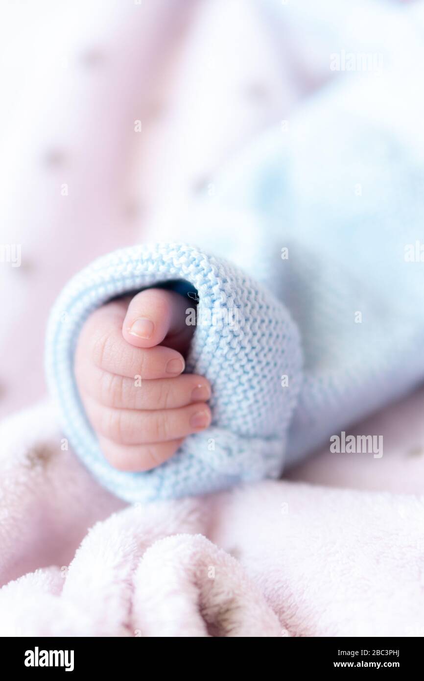 Hand of a newborn baby. Fingers of a newborn baby close up. Close-up ...