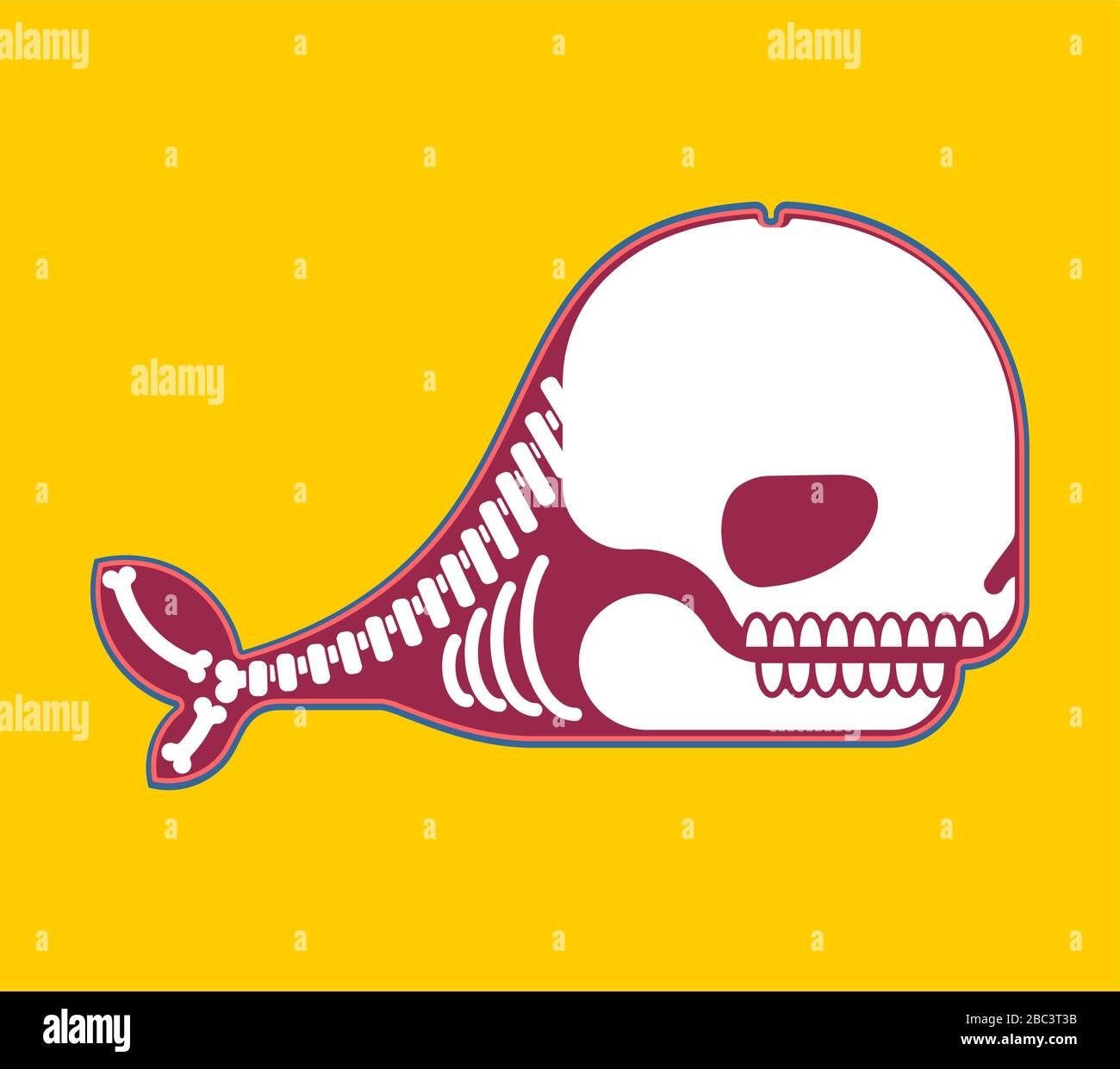 Whale skeleton illustration hi-res stock photography and images - Alamy