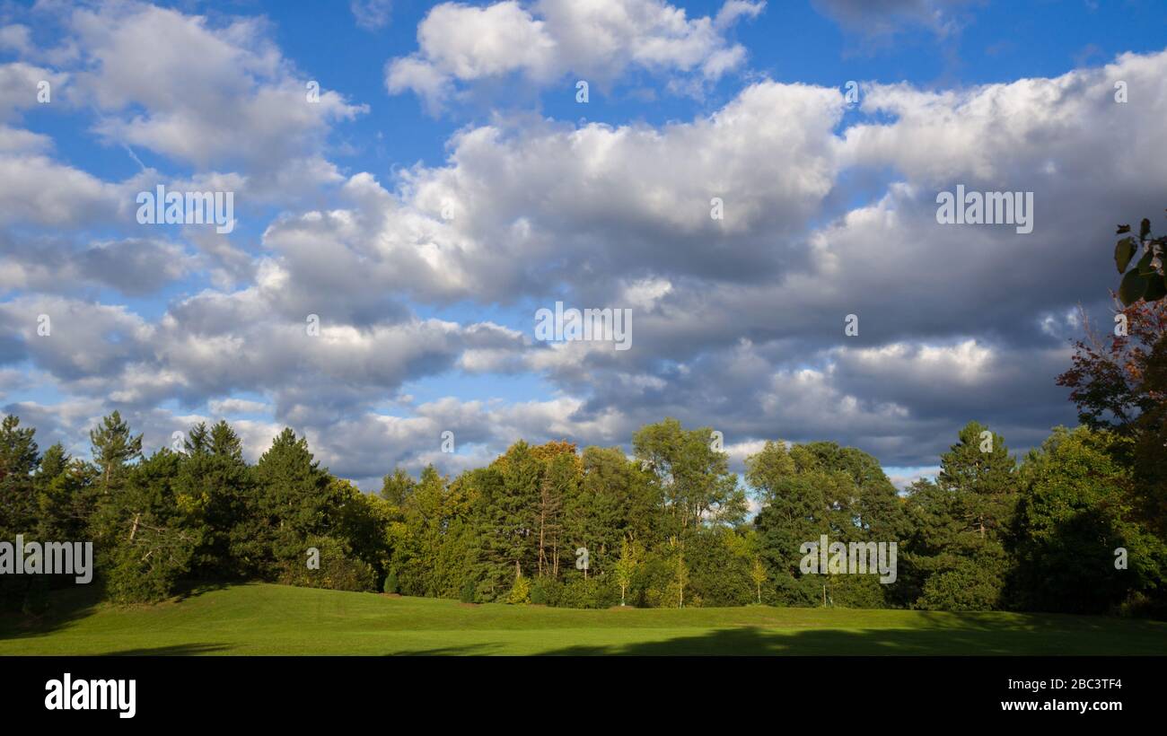 Scenic view of the park with green trees and grass field in city and a ...