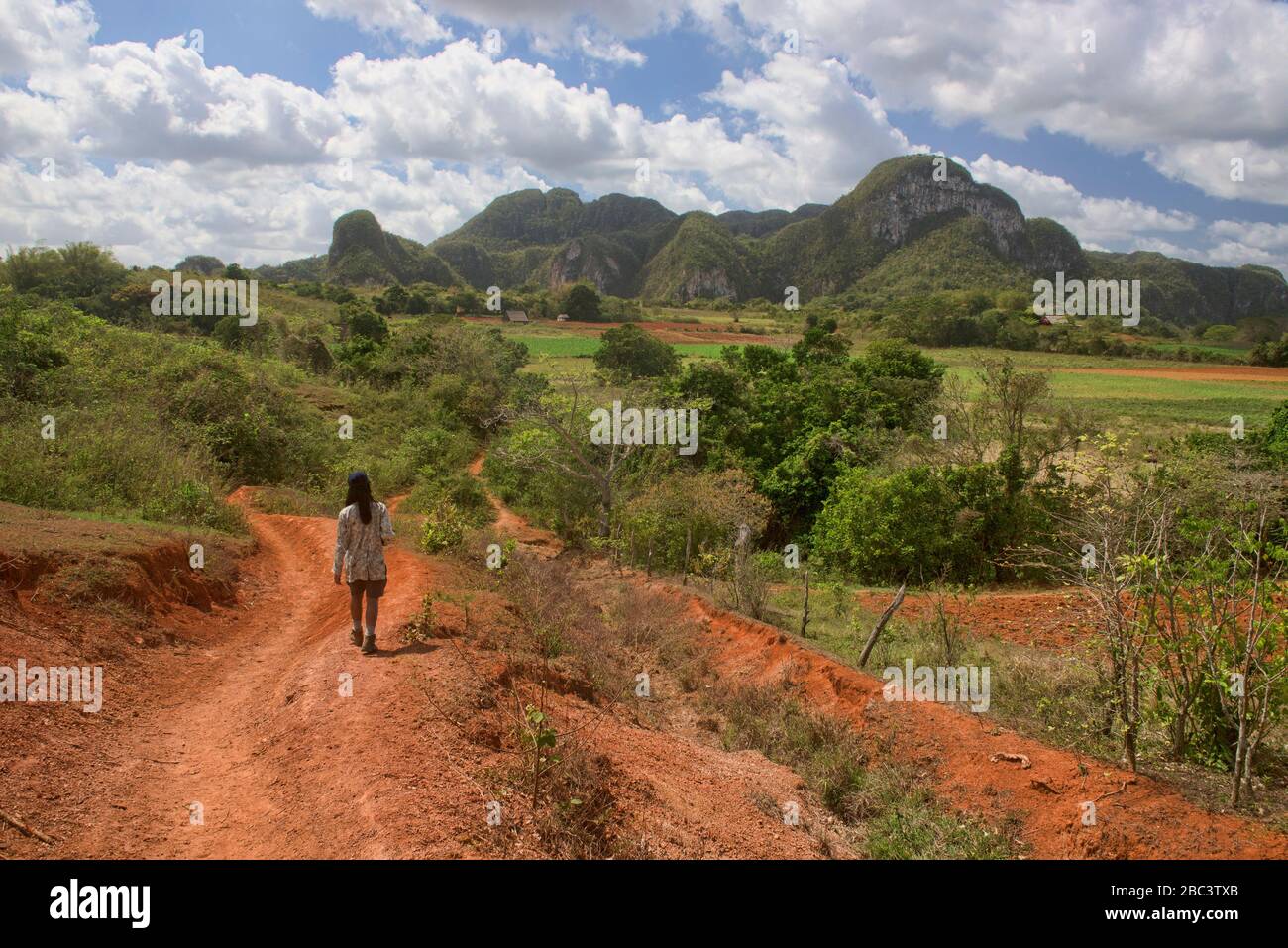 Beautiful mogote landscape in the Valley of Viñales, Cuba Stock Photo ...