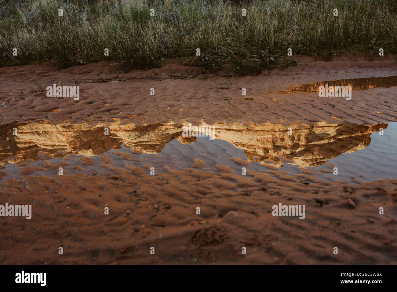 canyon walls reflected in a sandy mud puddle in a desert spring Stock ...