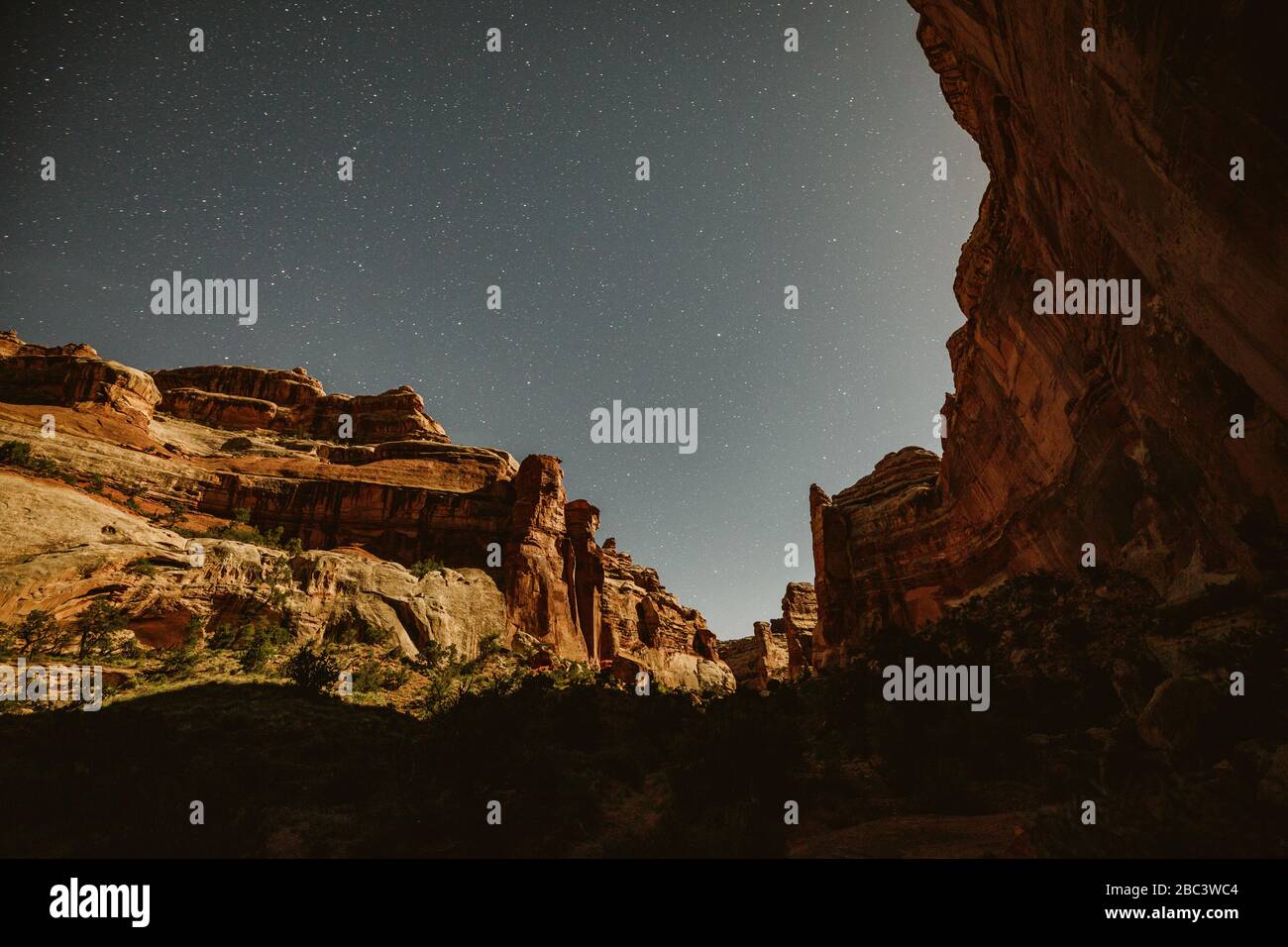 moonlight on the canyon walls under starry skies of the maze utah Stock ...