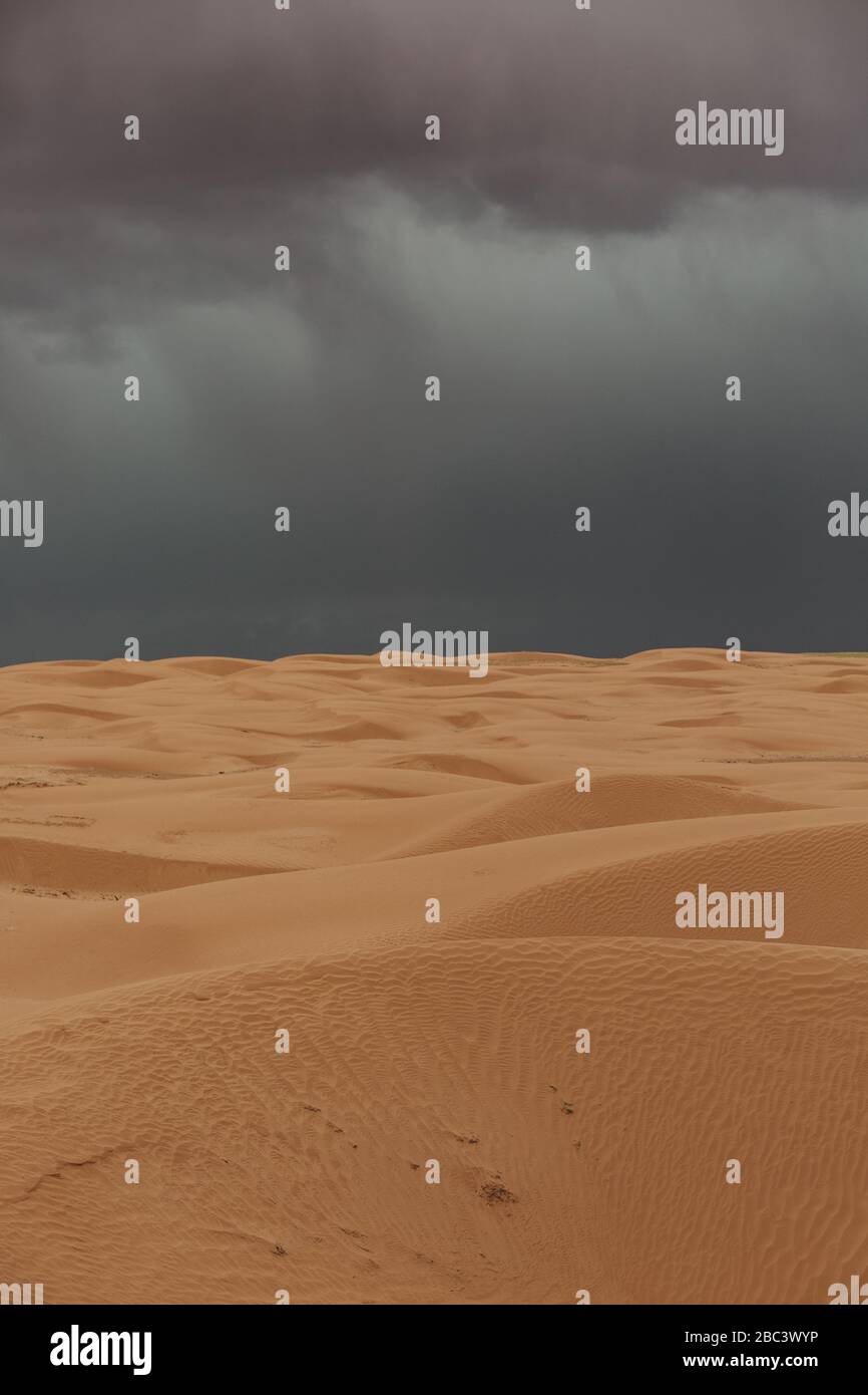 sand dunes under stormy rain clouds in the desert of canyonlands utah ...