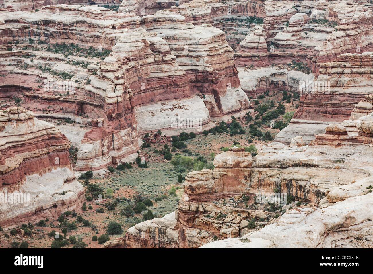 looking down at the layered red rock canyon walls of The Maze Utah ...