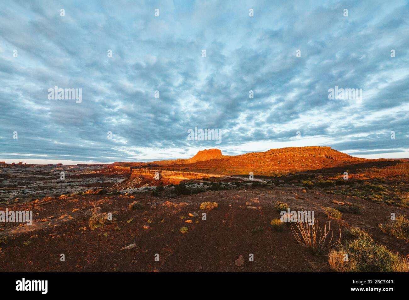 sunrise over red rocks in the Utah desert at The Maze Canyonlands Stock ...