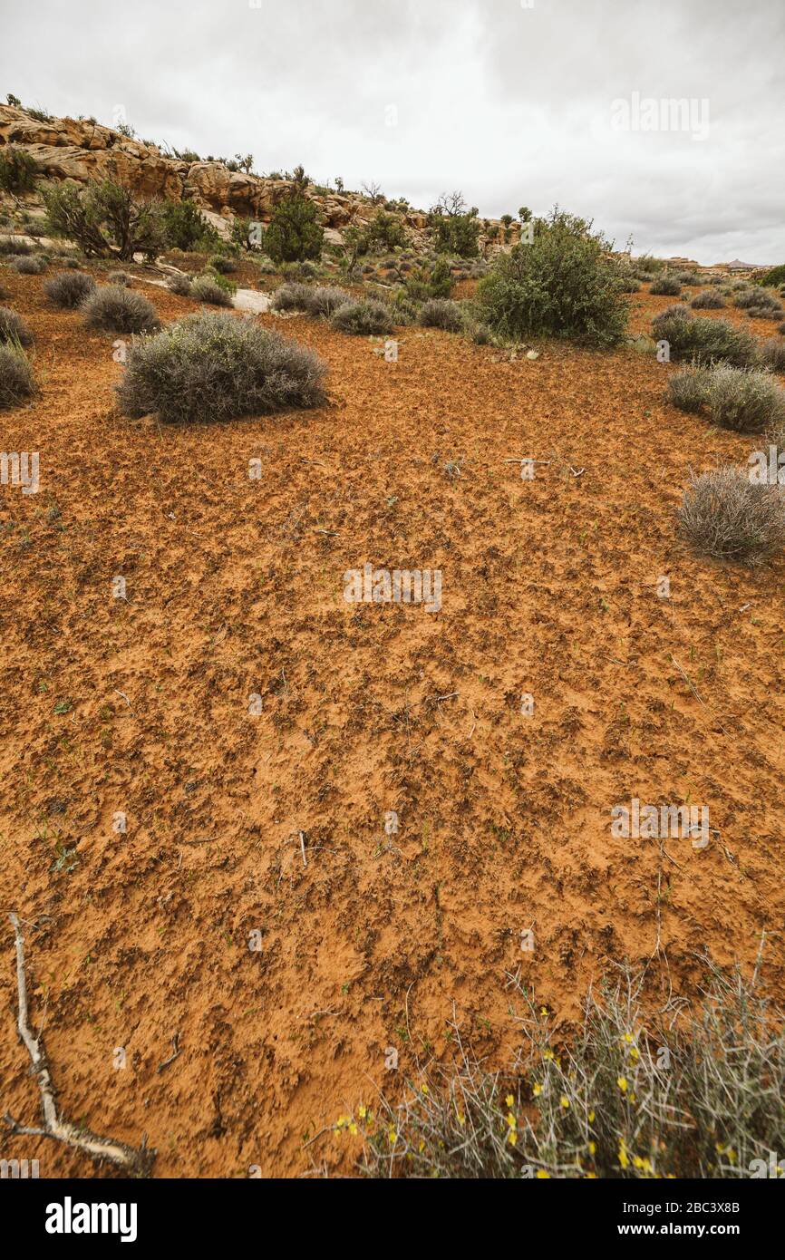 Soil crust hi-res stock photography and images - Alamy