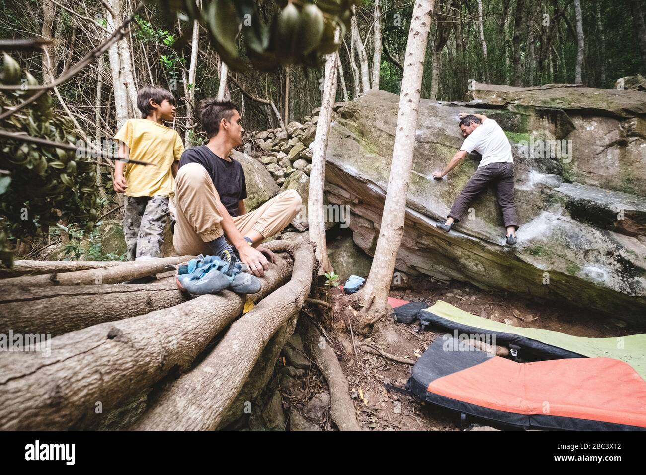 Pulled back view of bouldering spot in a forest Stock Photo - Alamy