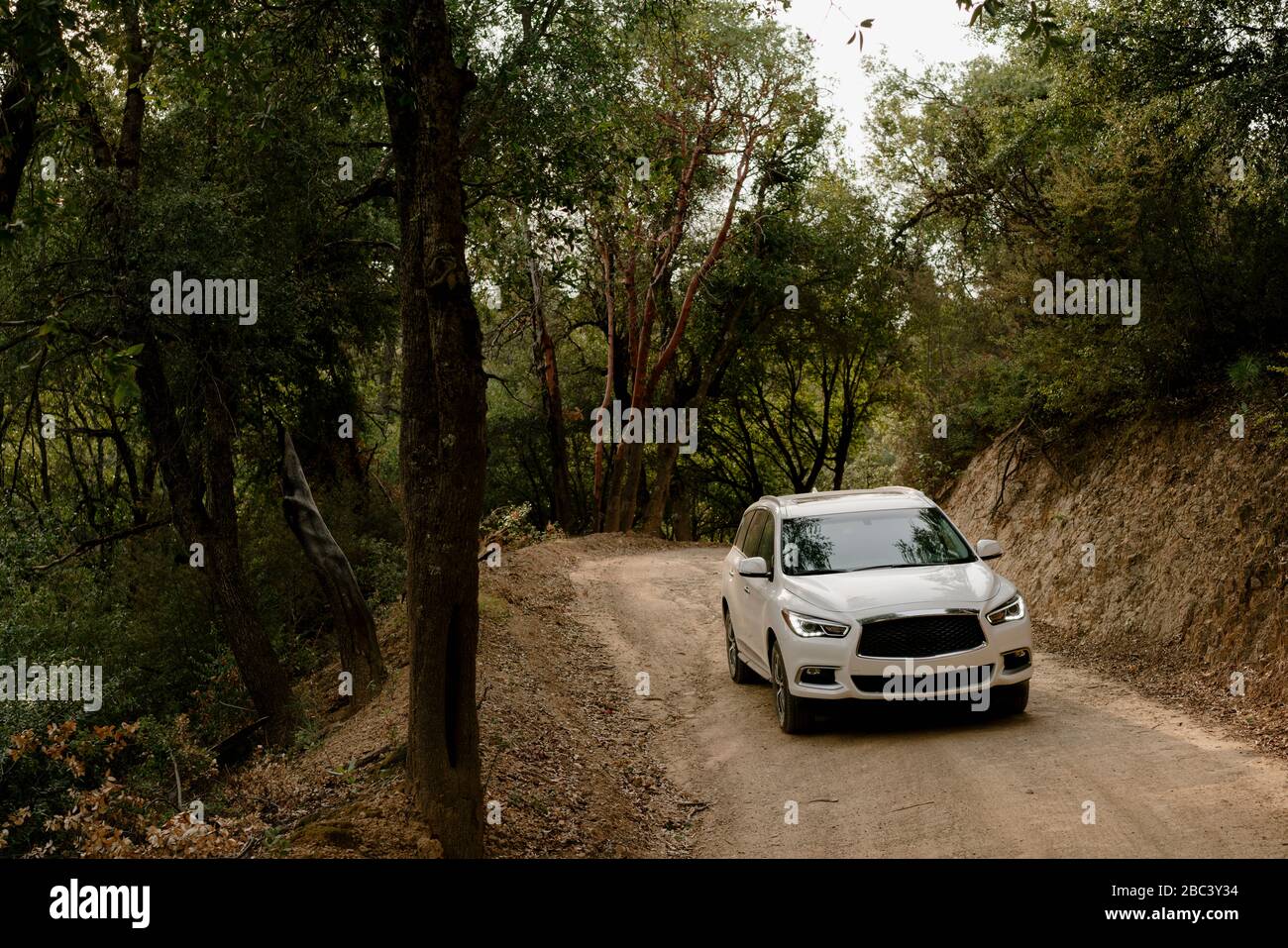Car driving through forest hi-res stock photography and images - Alamy
