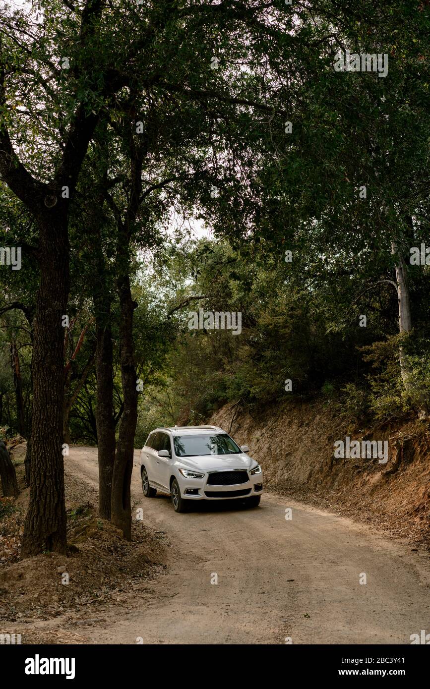 Car driving through forest hi-res stock photography and images - Alamy