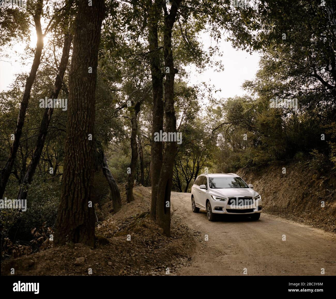 Car driving through forest hi-res stock photography and images - Alamy
