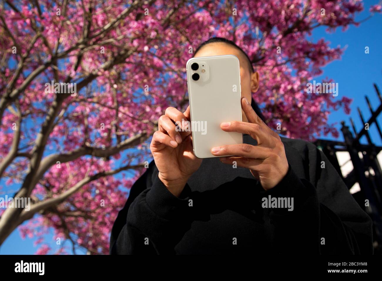 woman using cell phone outdoors in nature Stock Photo - Alamy