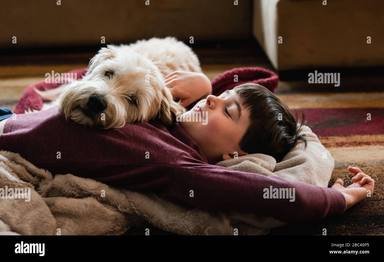 Boy cuddling dog blanket hi-res stock photography and images - Alamy