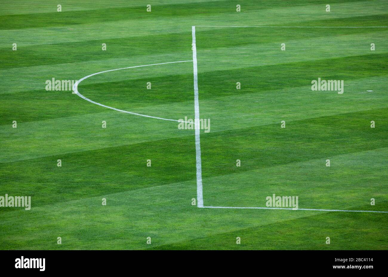 Vibrant green grass filling a field. The grass is divided into thick ...